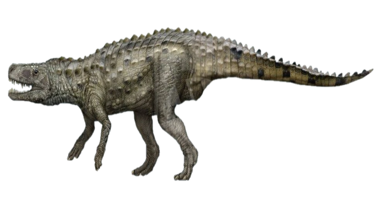 Smok | Prehistoric Dinosaurs Wiki | Fandom