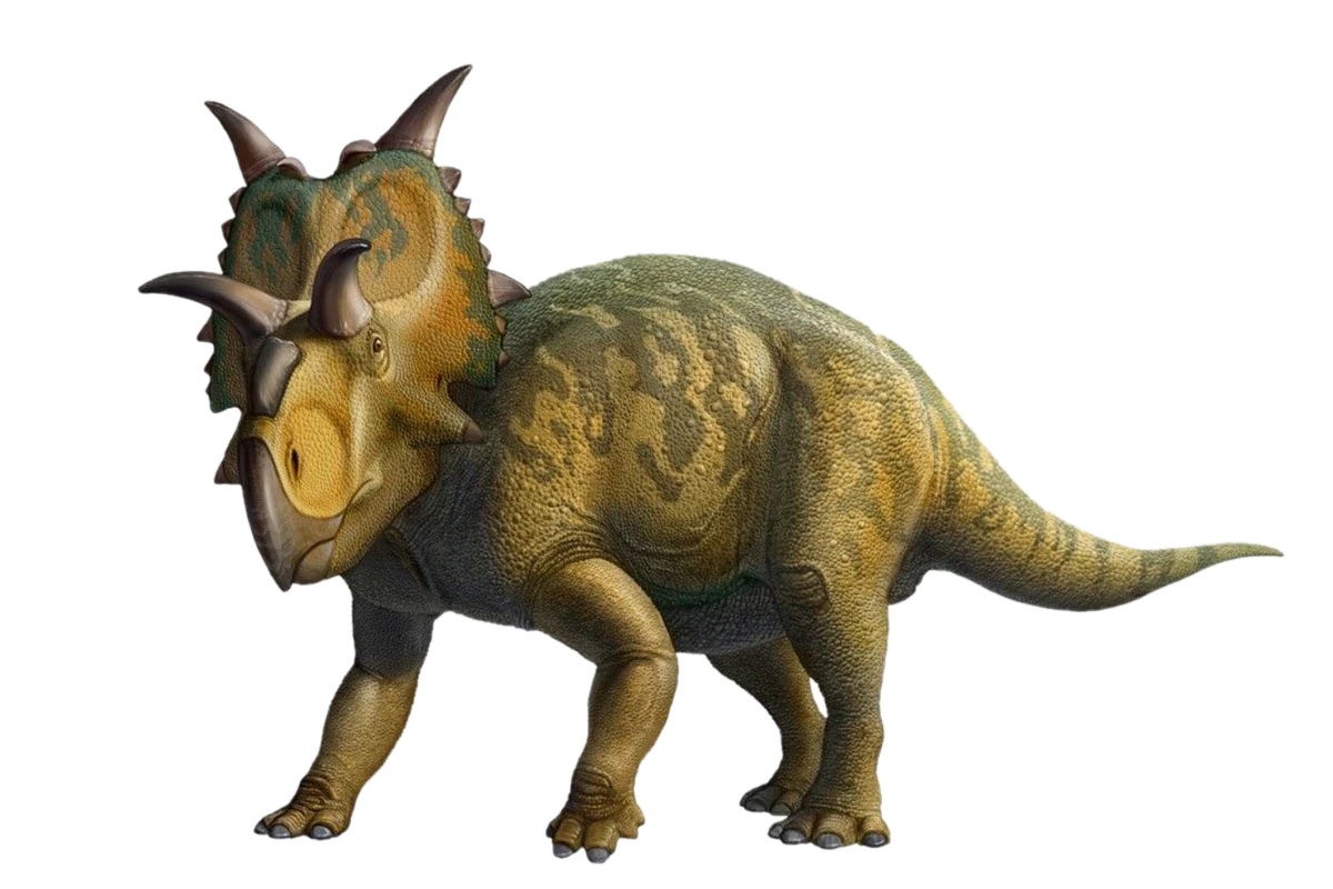 Xenoceratops | Prehistoric Dinosaurs Wiki | Fandom
