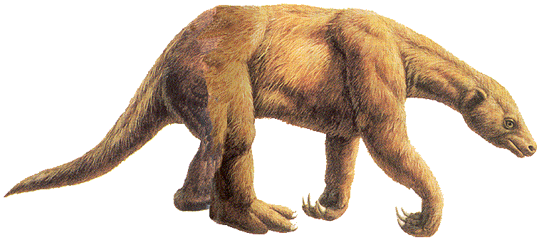 Ground Sloth | Prehistoric Dinosaurs Wiki | Fandom