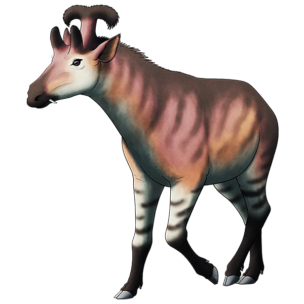 Xenokeryx | Prehistoric Dinosaurs Wiki | Fandom