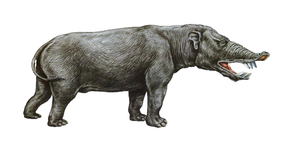 Pyrotherium | Prehistoric Dinosaurs Wiki | Fandom