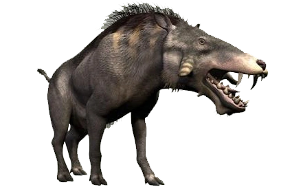 Entelodon | Prehistoric Dinosaurs Wiki | Fandom