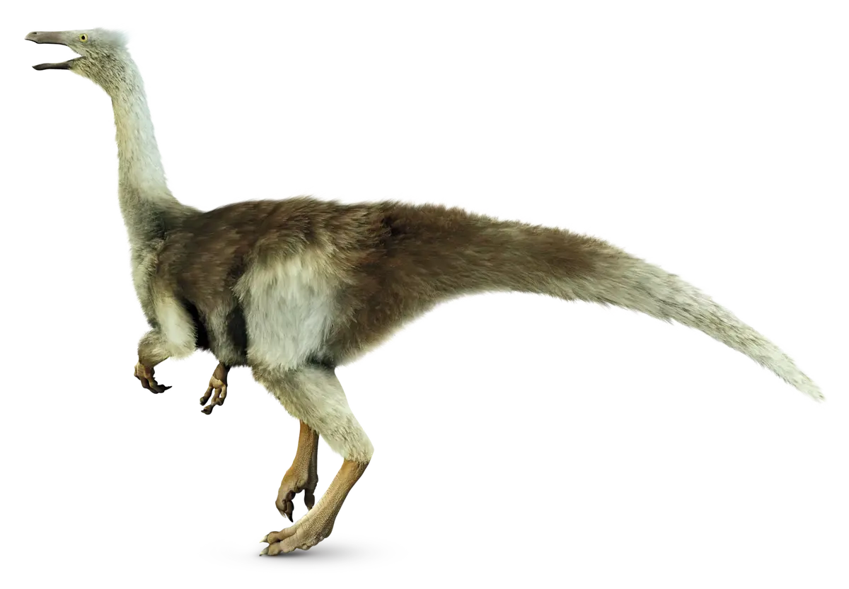Gallimimus | Prehistoric Dinosaurs Wiki | Fandom