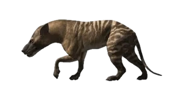Hyaenodon Gigas | Prehistoric Dinosaurs Wiki | Fandom