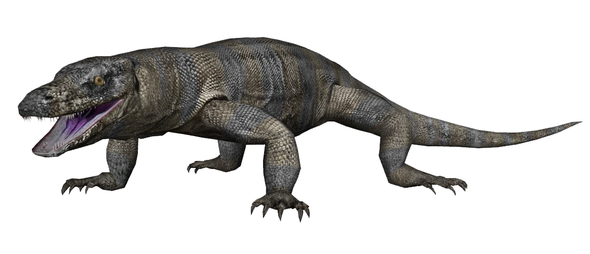 Megalania | Prehistoric Dinosaurs Wiki | Fandom
