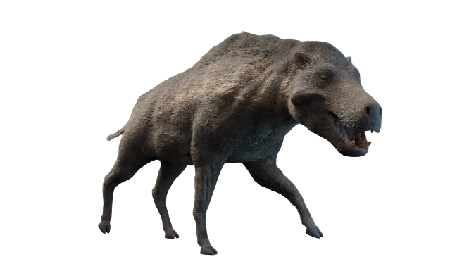 Daeodon | Prehistoric Dinosaurs Wiki | Fandom