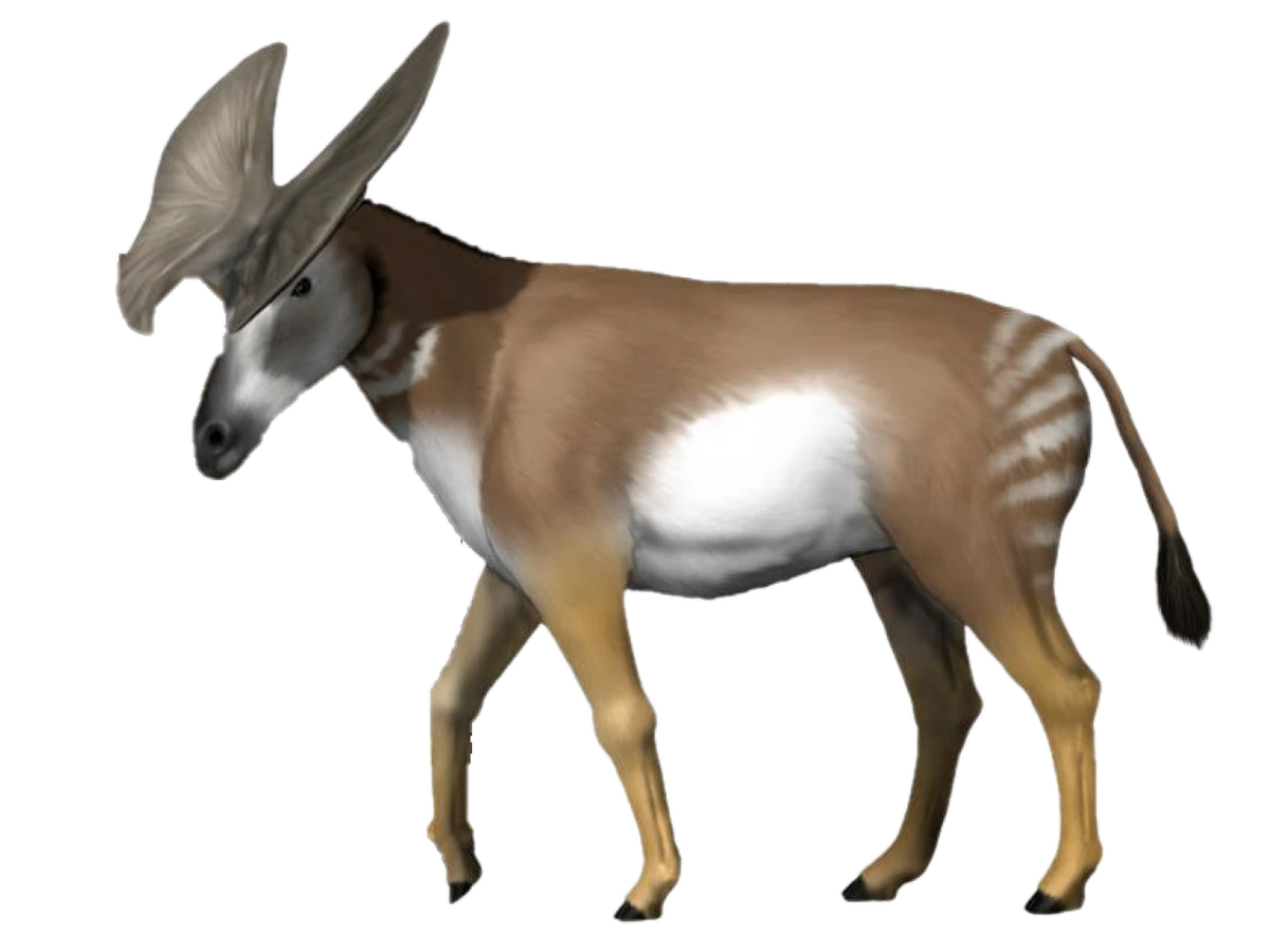 Prolibytherium | Prehistoric Dinosaurs Wiki | Fandom