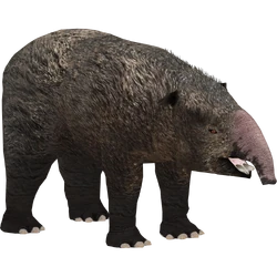 Barytherium | Prehistoric Dinosaurs Wiki | Fandom