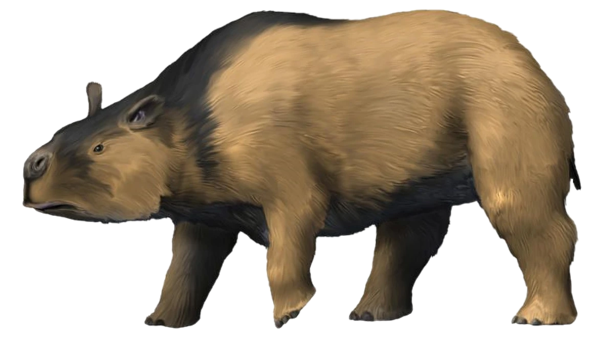 Toxodon | Prehistoric Dinosaurs Wiki | Fandom