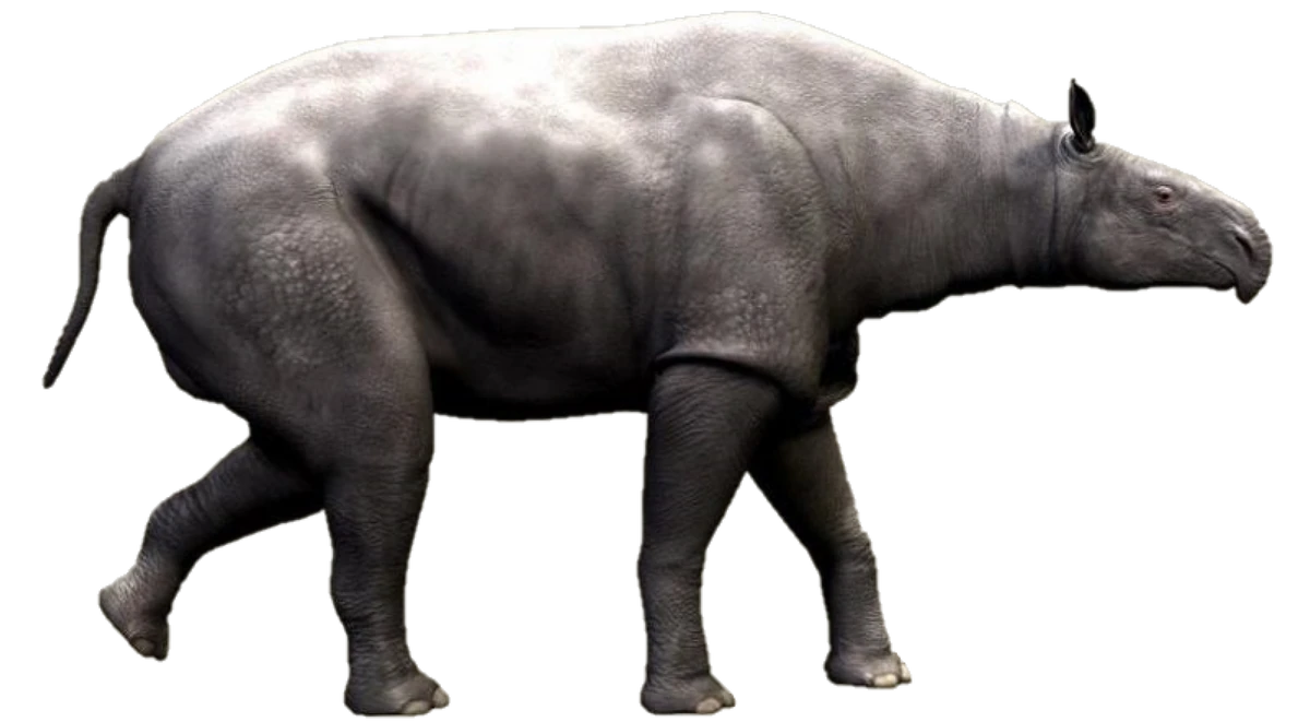 Baluchitherium | Prehistoric Dinosaurs Wiki | Fandom