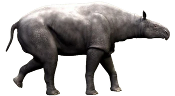 Baluchitherium | Prehistoric Dinosaurs Wiki | Fandom