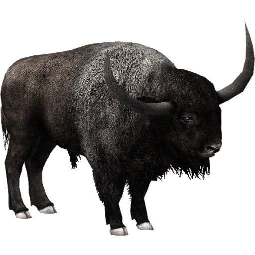 Woolly Wildebeest | Prehistoric Dinosaurs Wiki | Fandom