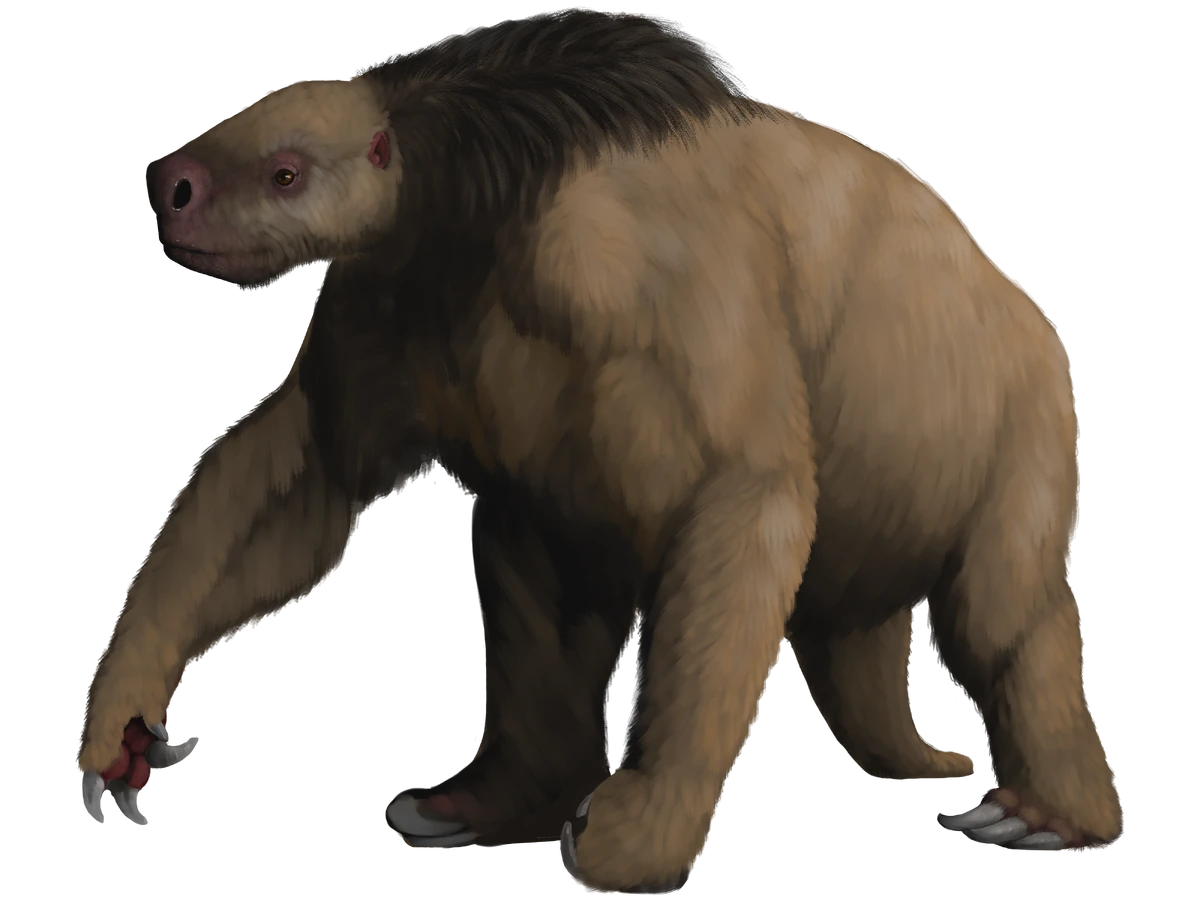 Megalonyx | Prehistoric Dinosaurs Wiki | Fandom