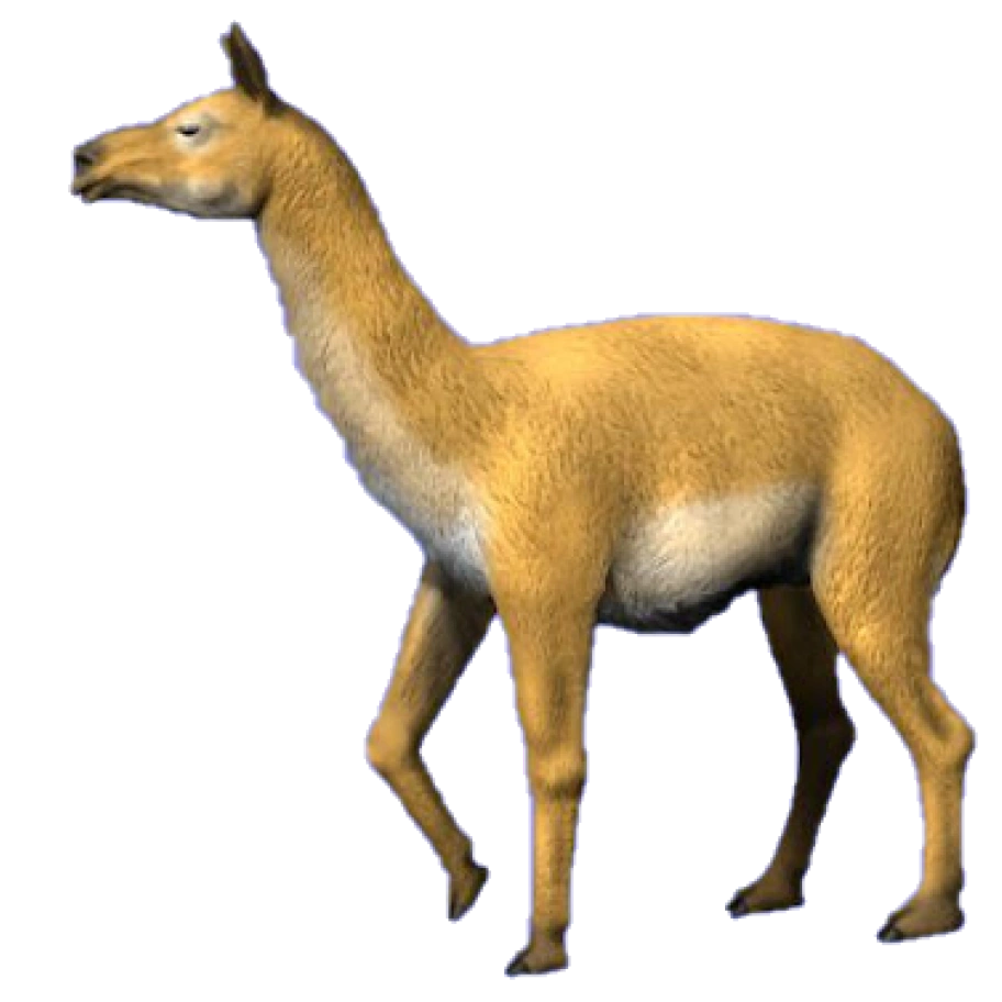 Alforjas | Prehistoric Dinosaurs Wiki | Fandom