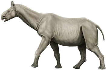 Paraceratherium | Prehistoric Dinosaurs Wiki | Fandom