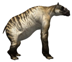 Ancylotherium | Prehistoric Dinosaurs Wiki | Fandom
