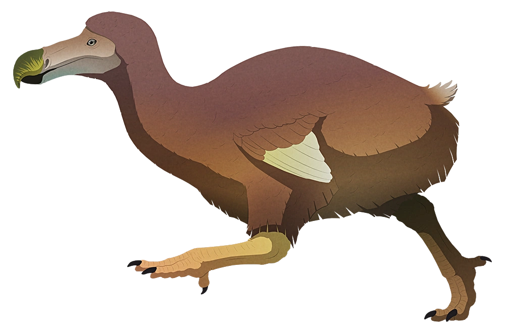Dodo | Prehistoric Dinosaurs Wiki | Fandom