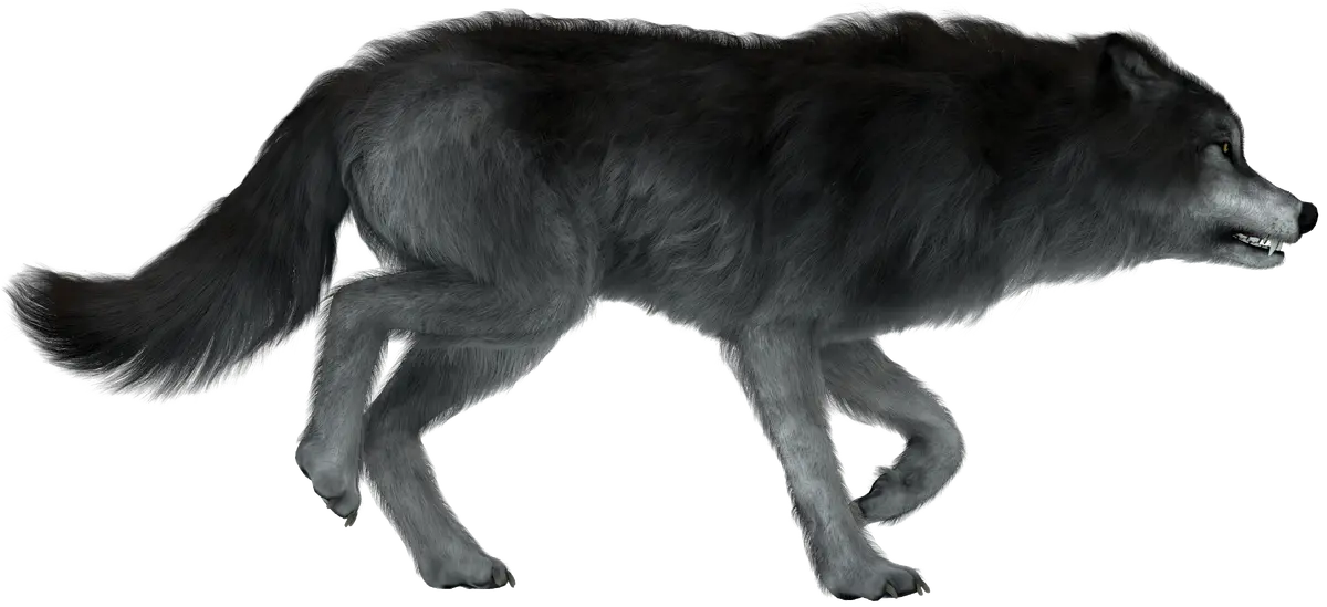 Direwolf | Prehistoric dinoworld Wiki | Fandom
