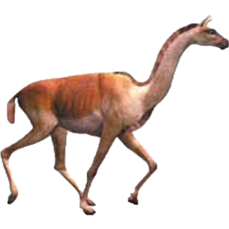 Alticamelus | Prehistoric dinoworld Wiki | Fandom