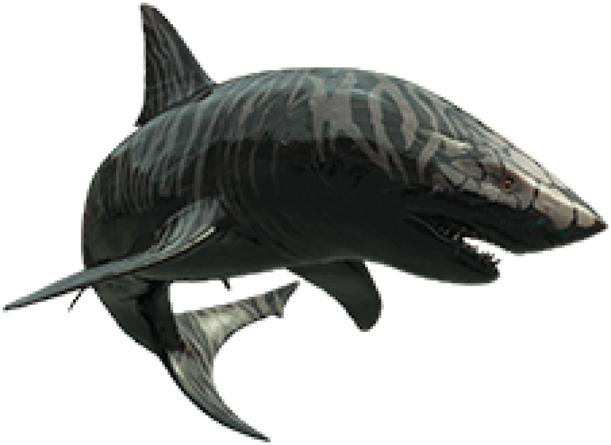 Megalodon Prehistoric Dinoworld Wiki Fandom