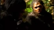 Australopithecus | Prehistoric Earth: A Natural History Wiki | Fandom