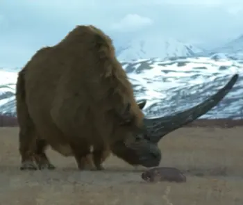 Elasmotherium | Prehistoric Earth: A Natural History Wiki | Fandom