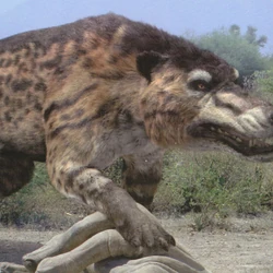 predatory animals list