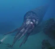 Cameroceras | Prehistoric Earth: A Natural History Wiki | Fandom