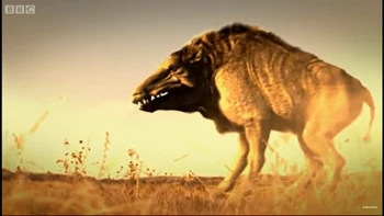 Daeodon | Prehistoric Earth: A Natural History Wiki | Fandom