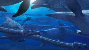 Elasmosaurus | Prehistoric Earth: A Natural History Wiki | Fandom