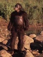 Australopithecus | Prehistoric Earth: A Natural History Wiki | Fandom