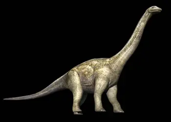 Alamosaurus | Prehistoric Earth: A Natural History Wiki | Fandom