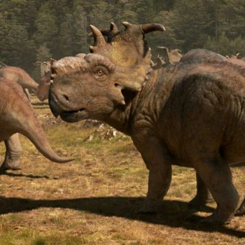 Pachyrhinosaurus | Prehistoric Earth: A Natural History Wiki | Fandom