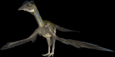 Archaeopteryx | Prehistoric Earth: A Natural History Wiki | Fandom