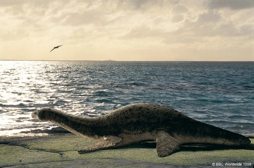 Cryptoclidus | Prehistoric Earth: A Natural History Wiki | Fandom