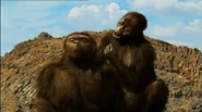 Australopithecus | Prehistoric Earth: A Natural History Wiki | Fandom