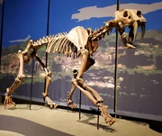 Smilodon | Prehistoric Earth: A Natural History Wiki | Fandom