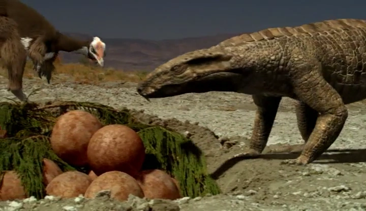 Baurusuchus | Prehistoric Earth: A Natural History Wiki | Fandom