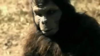 Australopithecus | Prehistoric Earth: A Natural History Wiki | Fandom