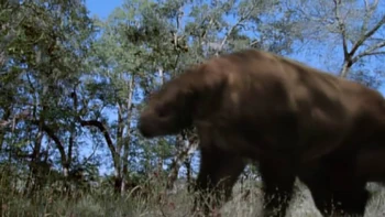 Eremotherium | Prehistoric Earth: A Natural History Wiki | Fandom