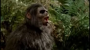 Australopithecus | Prehistoric Earth: A Natural History Wiki | Fandom