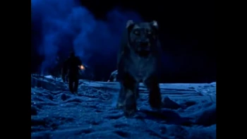 Barbourofelis | Prehistoric Earth: A Natural History Wiki | Fandom