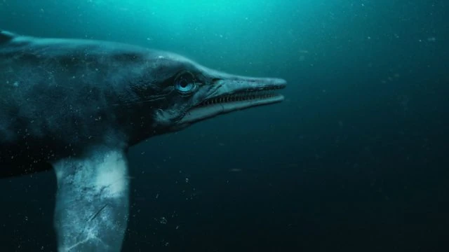 Ichthyosaurus | Prehistoric Earth: A Natural History Wiki | Fandom