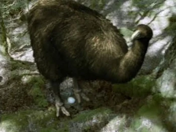 South Island Giant Moa | Prehistoric Earth: A Natural History Wiki | Fandom