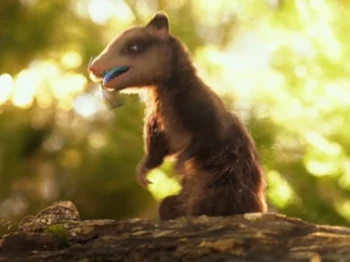 Alphadon | Prehistoric Earth: A Natural History Wiki | Fandom