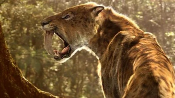 Smilodon | Prehistoric Earth: A Natural History Wiki | Fandom