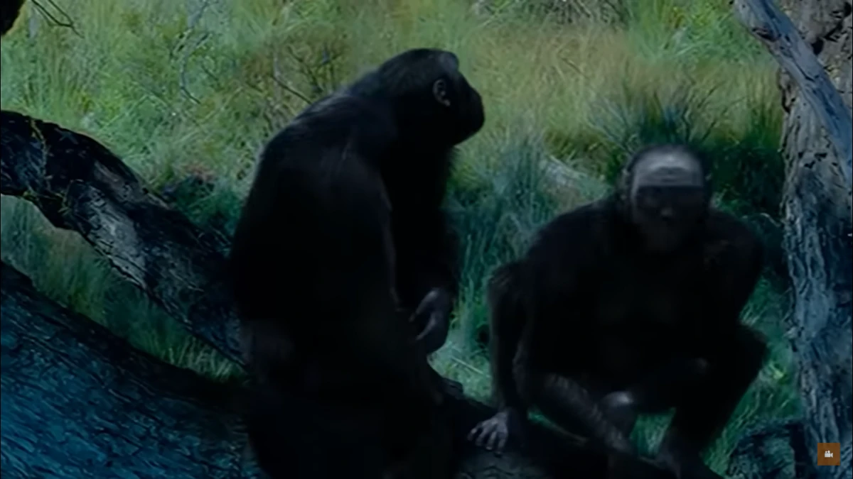 Orrorin | Prehistoric Earth: A Natural History Wiki | Fandom