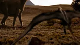 Comodactylus | Prehistoric Earth: A Natural History Wiki | Fandom