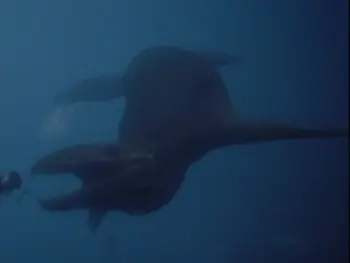 Pliosaurus | Prehistoric Earth: A Natural History Wiki | Fandom