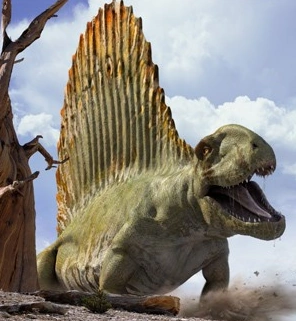 Dimetrodon | Prehistoric Earth: A Natural History Wiki | Fandom